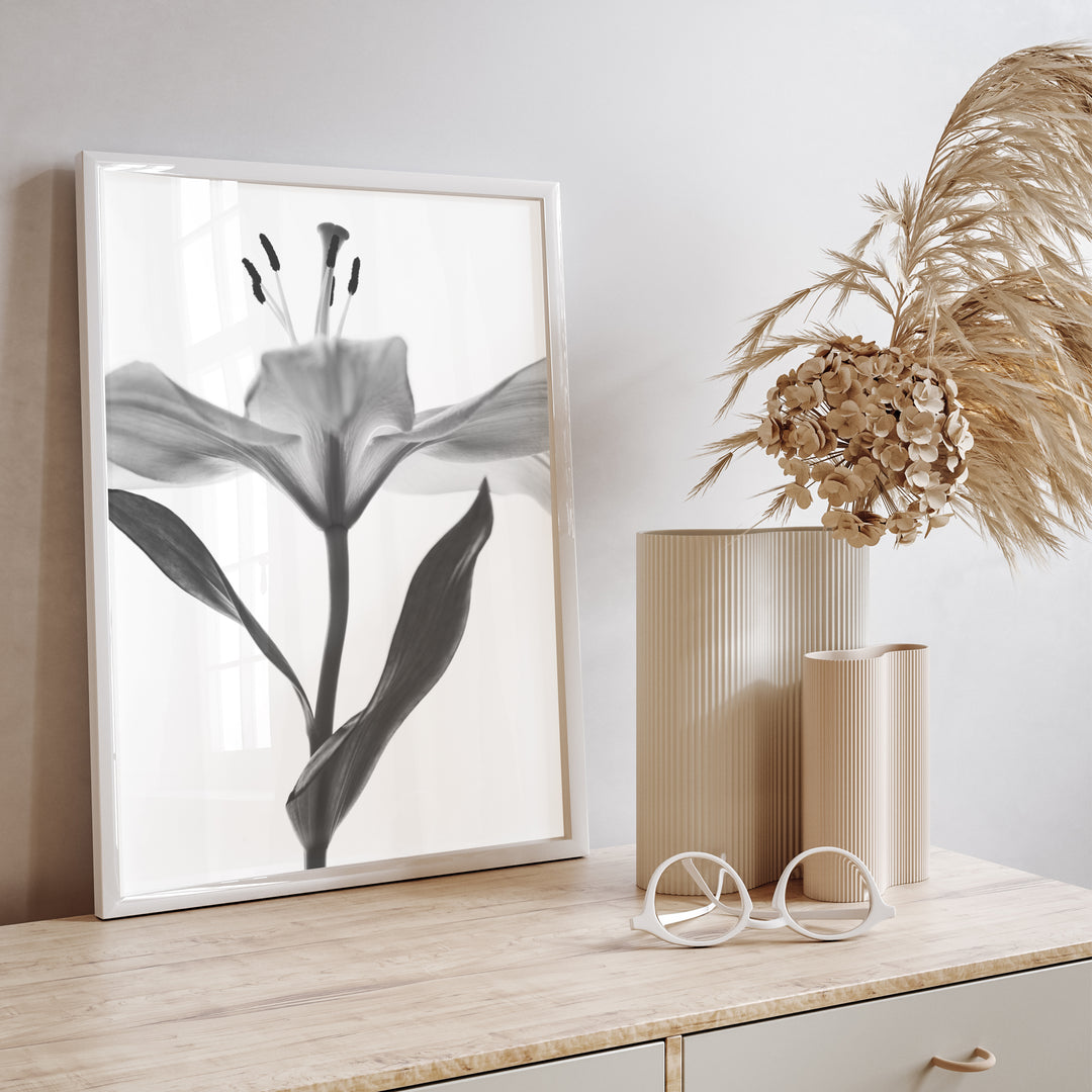 Zen Harmony – Ellisimo